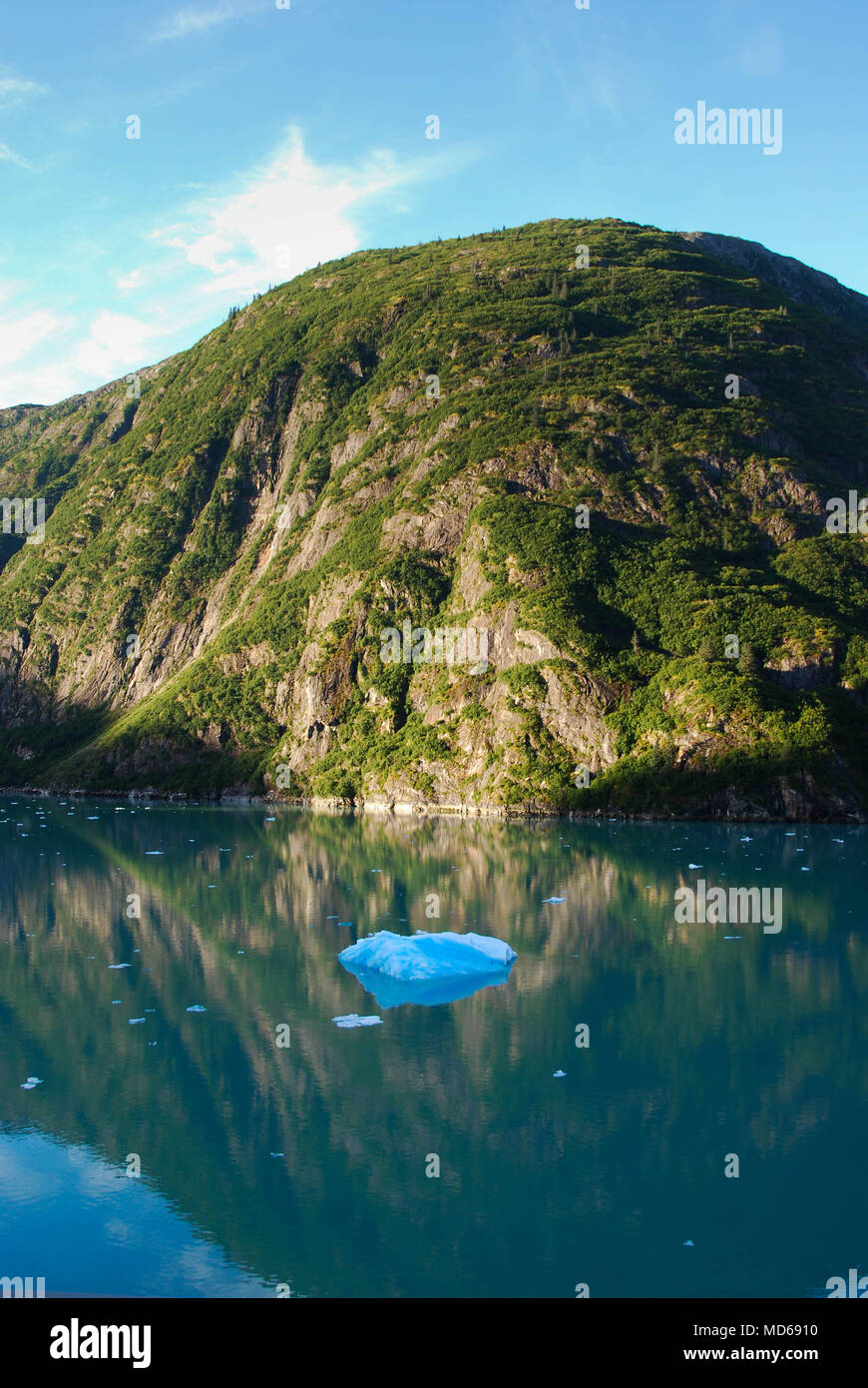 Large block of glacial ice floating in the Tracy Arm fjord in Alaska ...