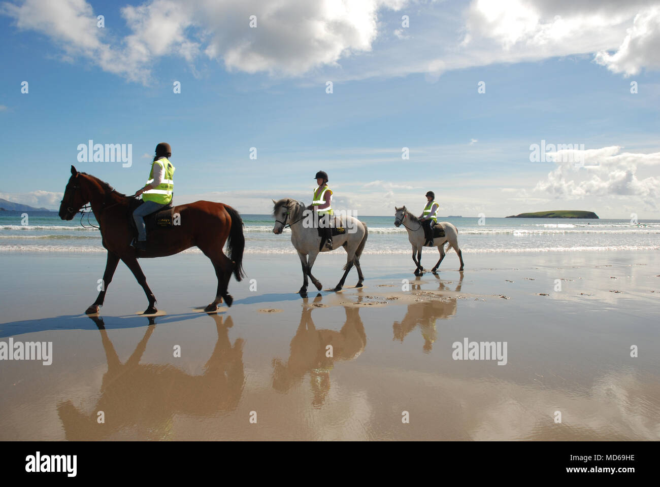 Three horses on irish beach hi-res stock photography and images - Alamy
