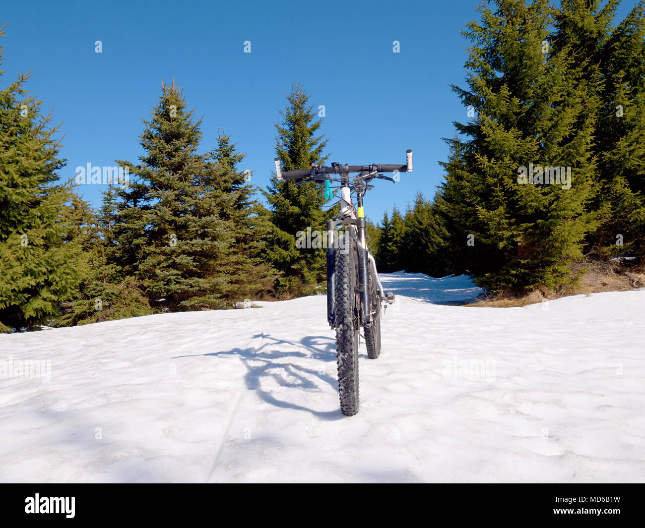 Mountain bike in snow. Cycling on large tire wheels in fresh snow ...