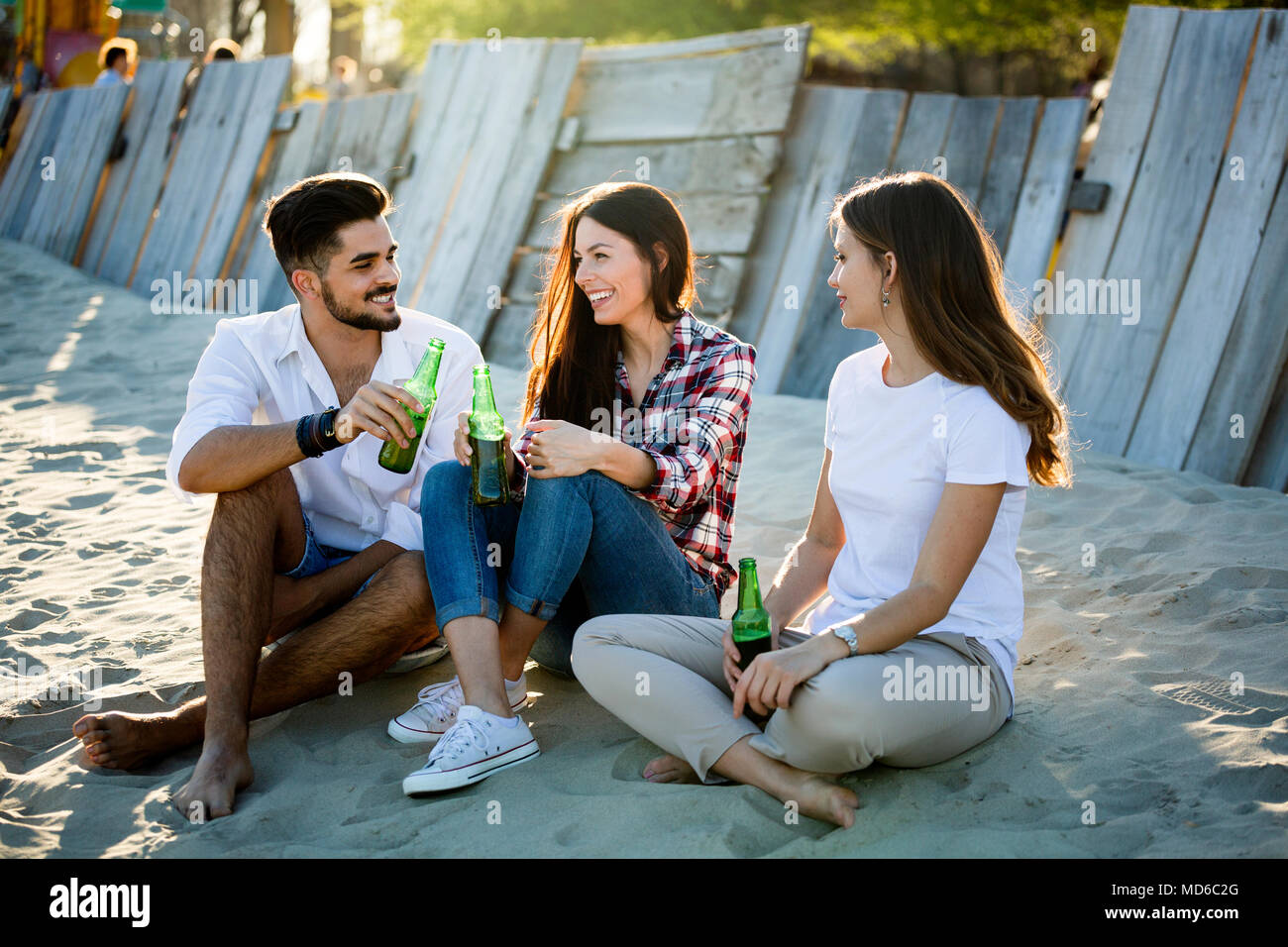 Group of Friends Having a Party Stock Photo - Alamy