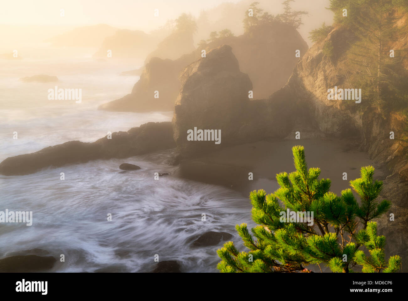 Thunder cove beach hi-res stock photography and images - Alamy