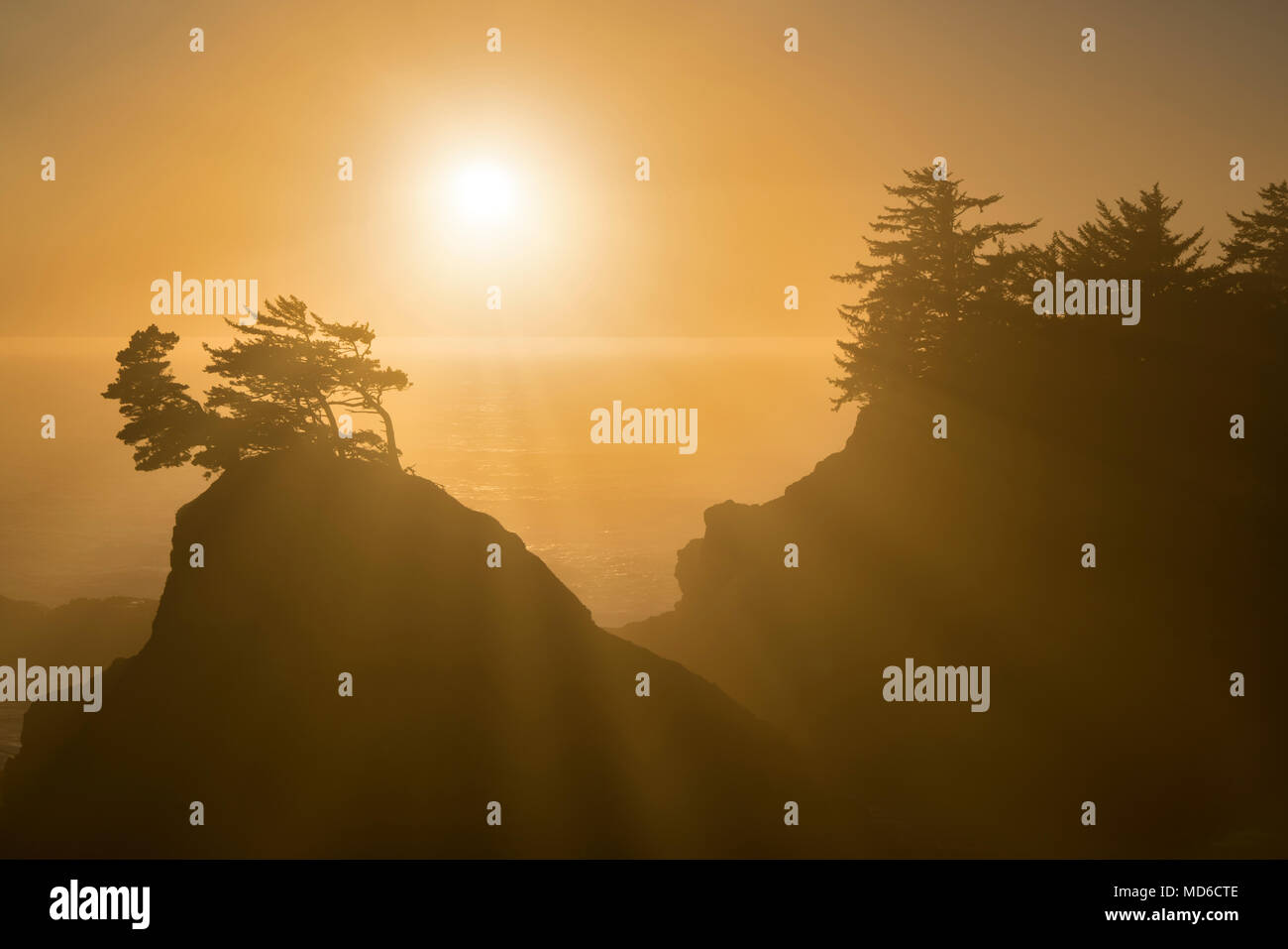 Sunset at Thunder Cove. Samuel H. Boardman State Park (Scenic Corridor ...