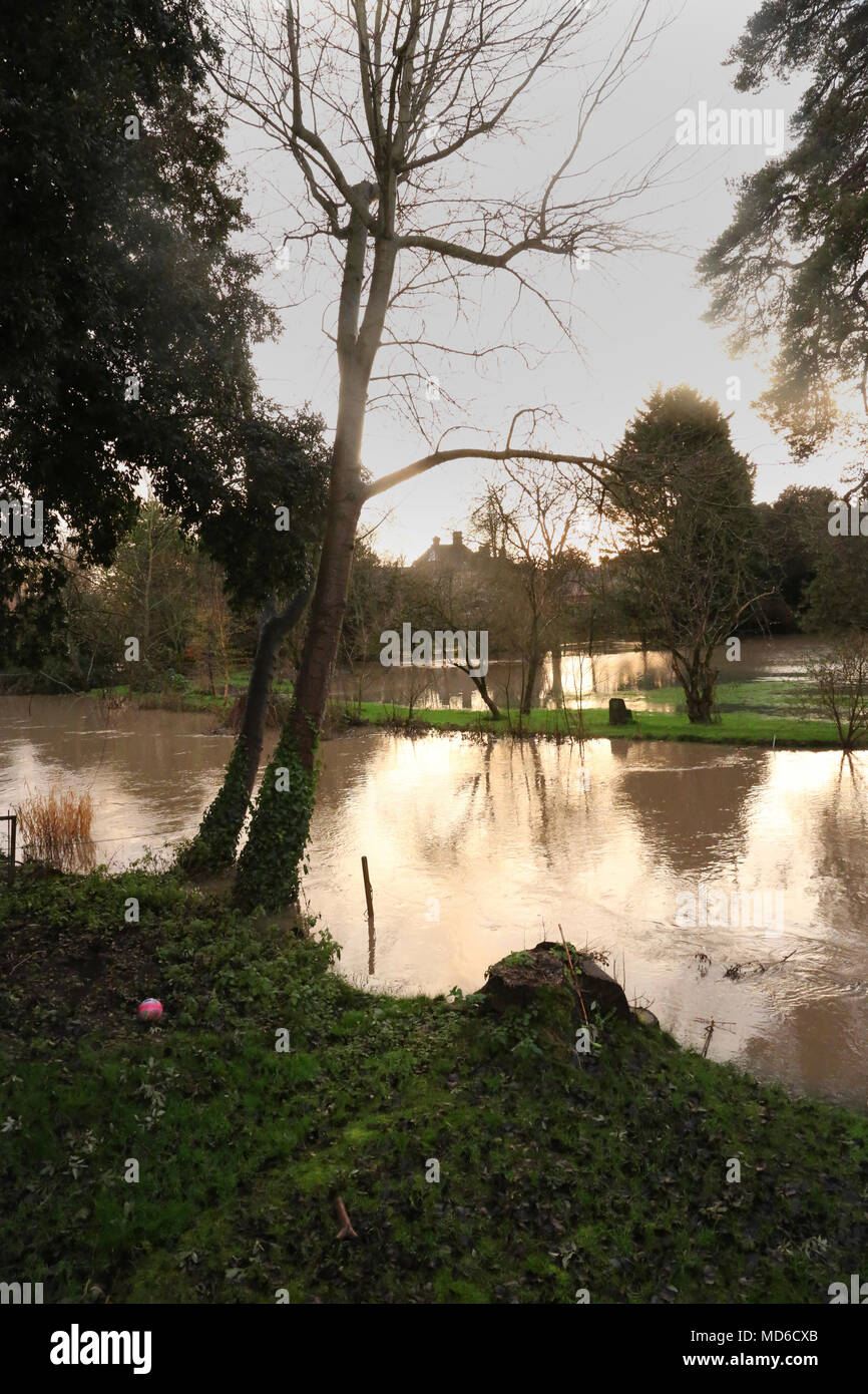 River Stour Flood Gillingham Dorset England Stock Photo - Alamy