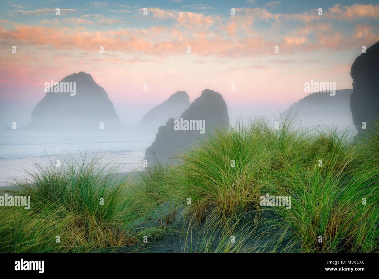 Cape Sabastian State Park with dune grass, fog and sunrise clouds ...