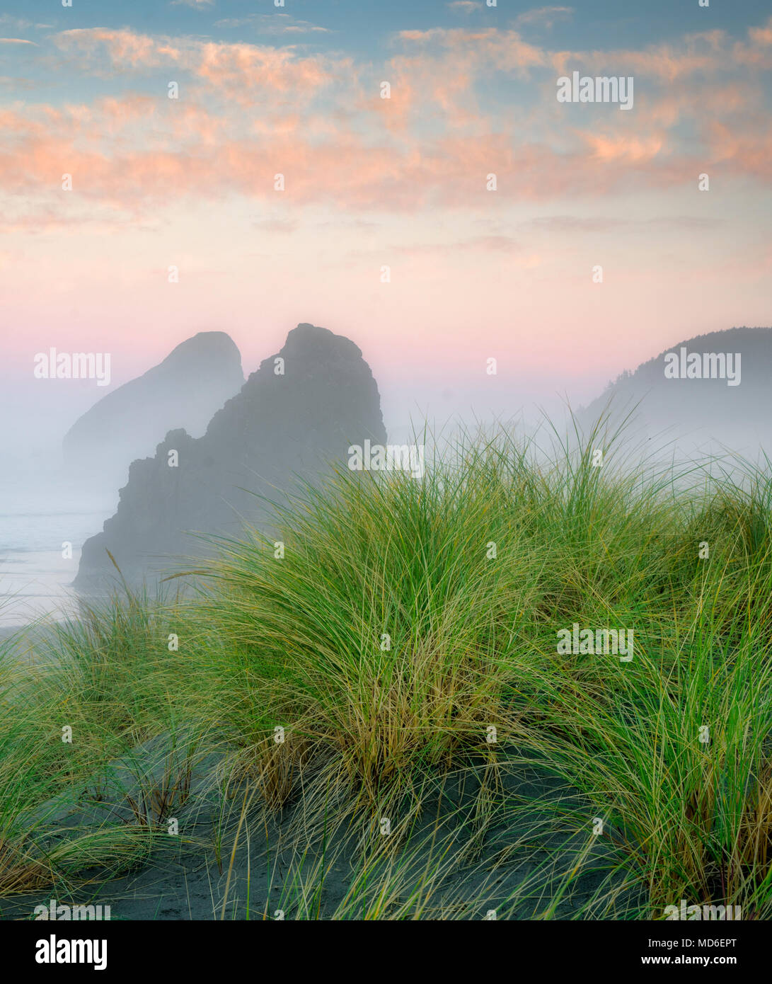 Cape sabastian state park hi-res stock photography and images - Alamy
