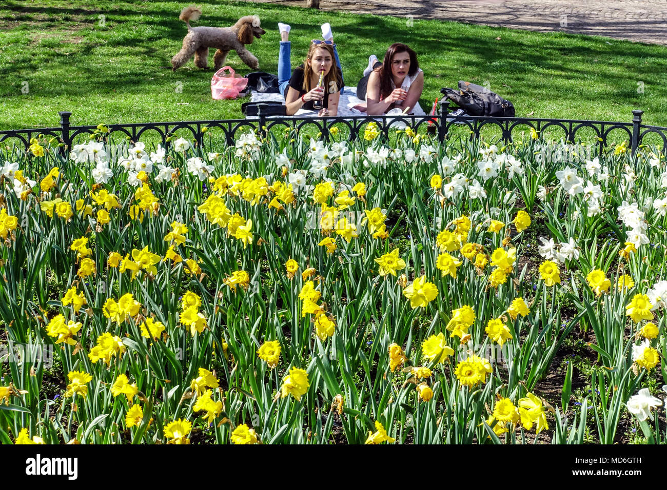 Prague Spring in Letna Park Prague Park Czech Republic garden scene ...