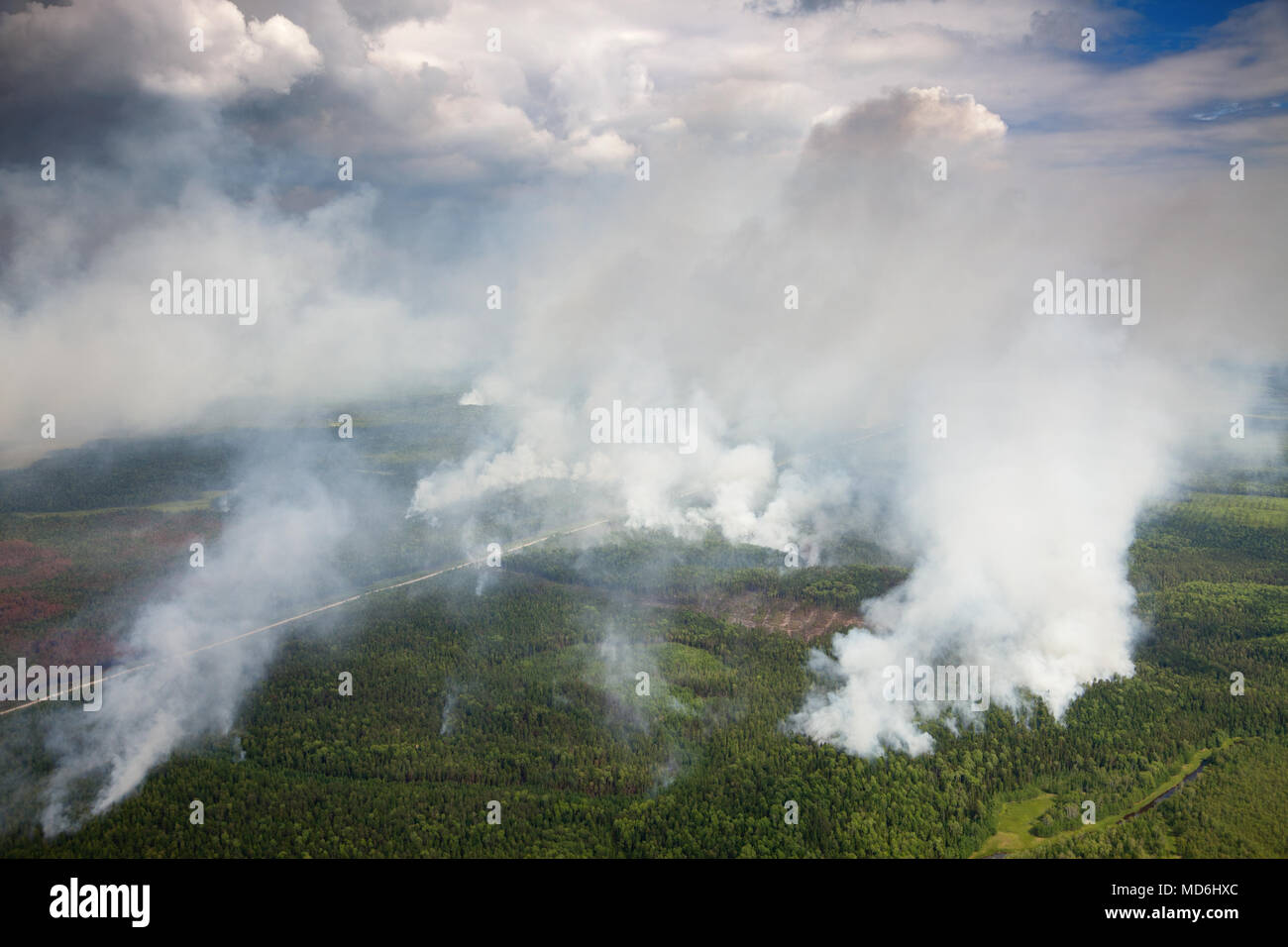 Burning forest aerial view hi-res stock photography and images - Alamy