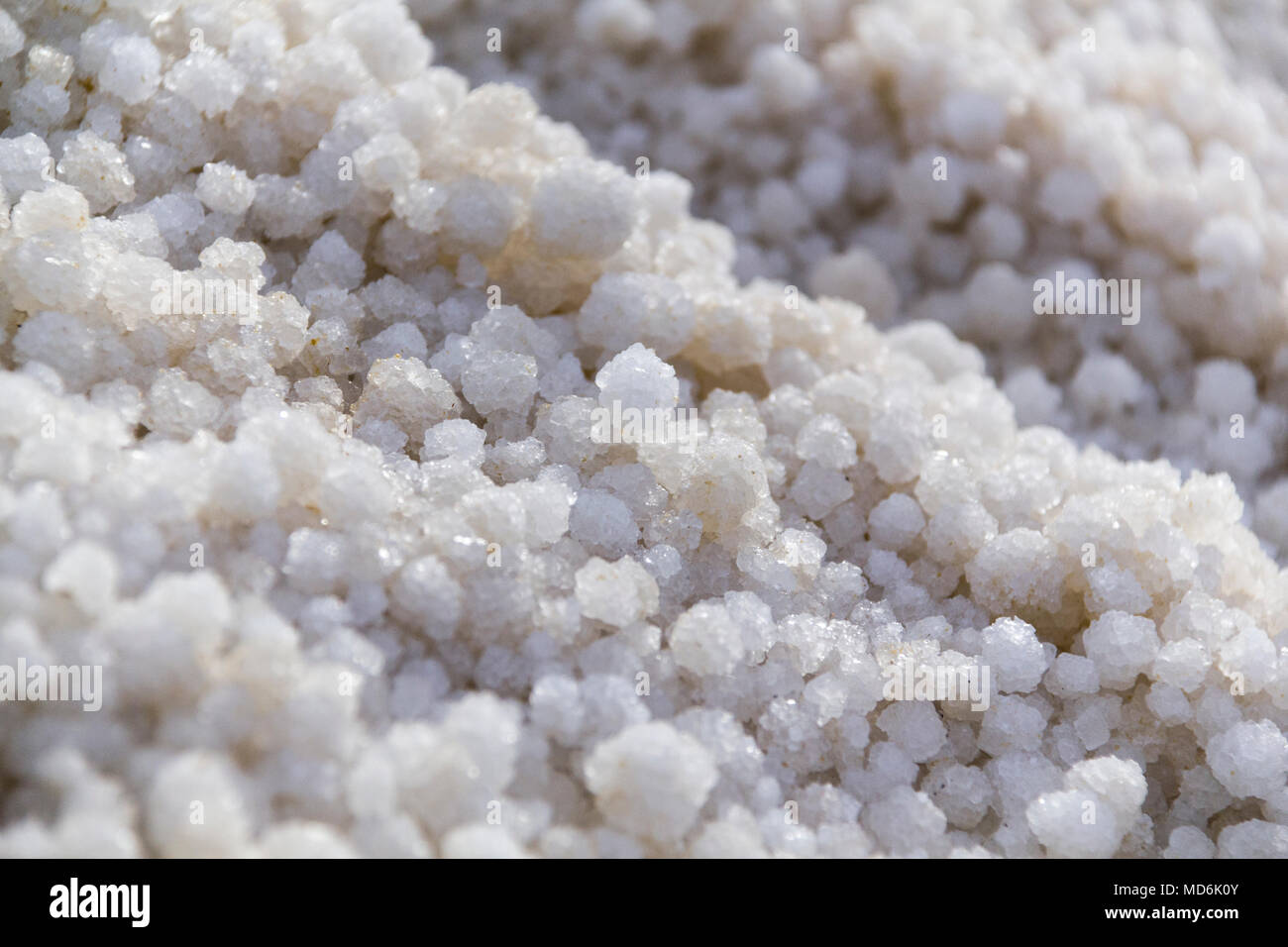 Salinity Dead High Resolution Stock Photography and Images - Alamy