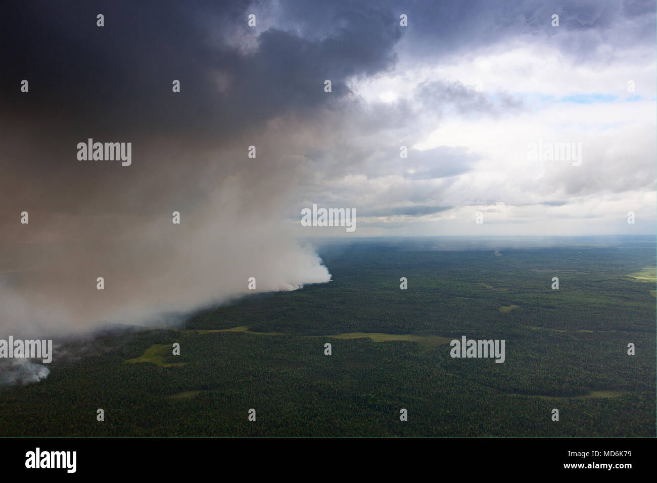 Wildfire in forest, aerial view Stock Photo - Alamy