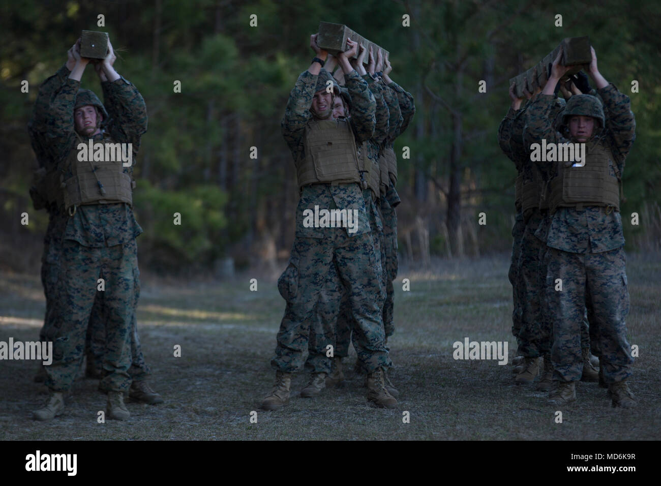 U.S. Marines with 8th Marine Regiment, 2nd Marine Division perform log ...
