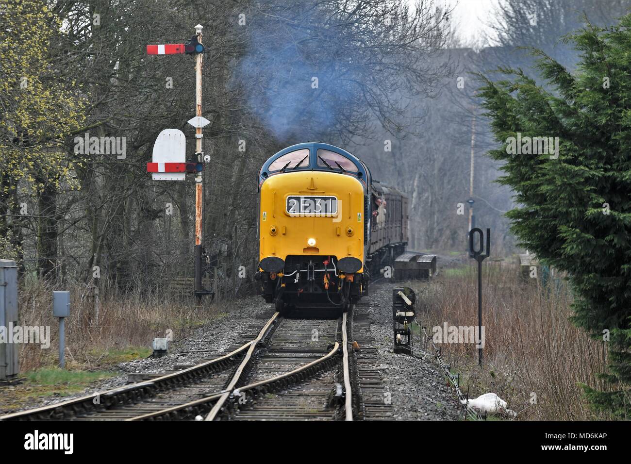 Class 55 deltic diesel locomotive hi-res stock photography and images ...