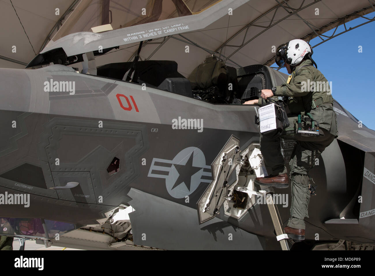 The Commanding Officer of Marine Fighter Attack Squadron 122 (VMFA-122 ...