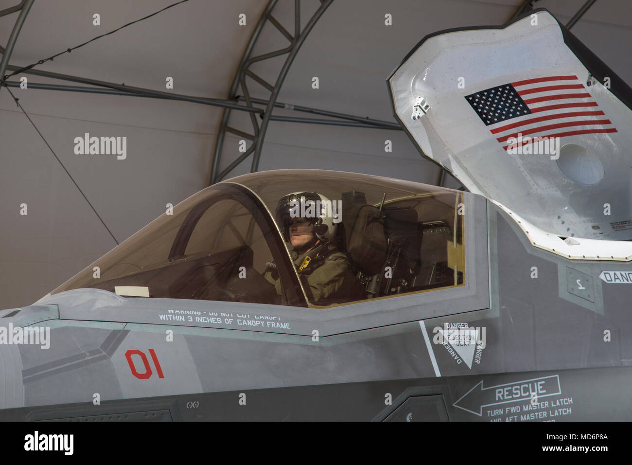 The Commanding Officer of Marine Fighter Attack Squadron 122 (VMFA-122 ...