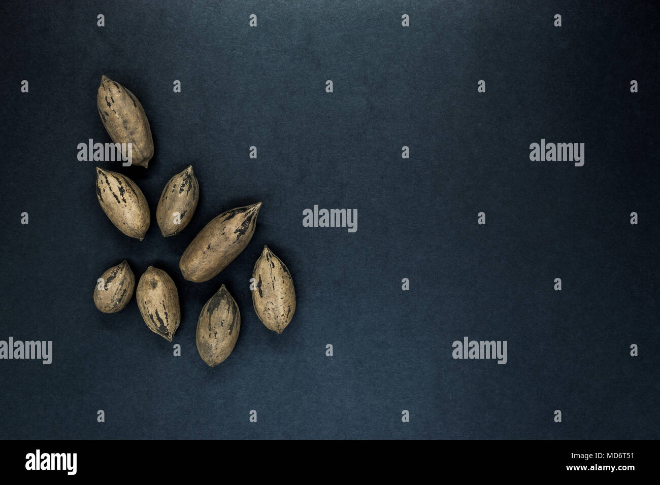 Pecan nuts with the nutshell on black background surface with free ...