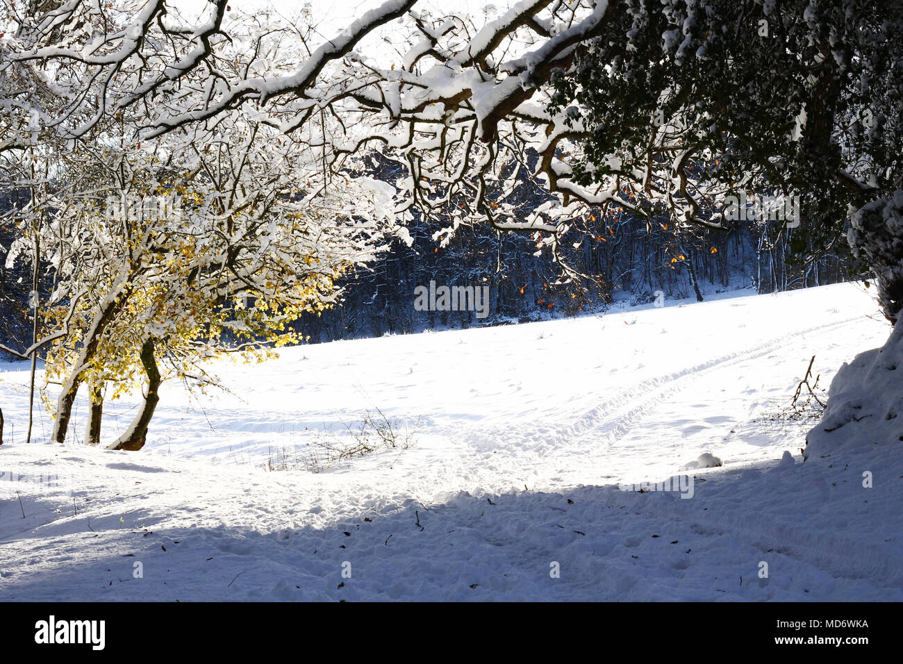 Sunshine and snow weather hi-res stock photography and images - Alamy