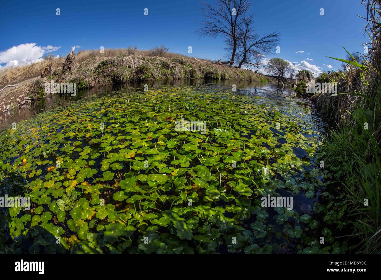 Cuenca del Rio San Pedro, Naturalia Stock Photo - Alamy