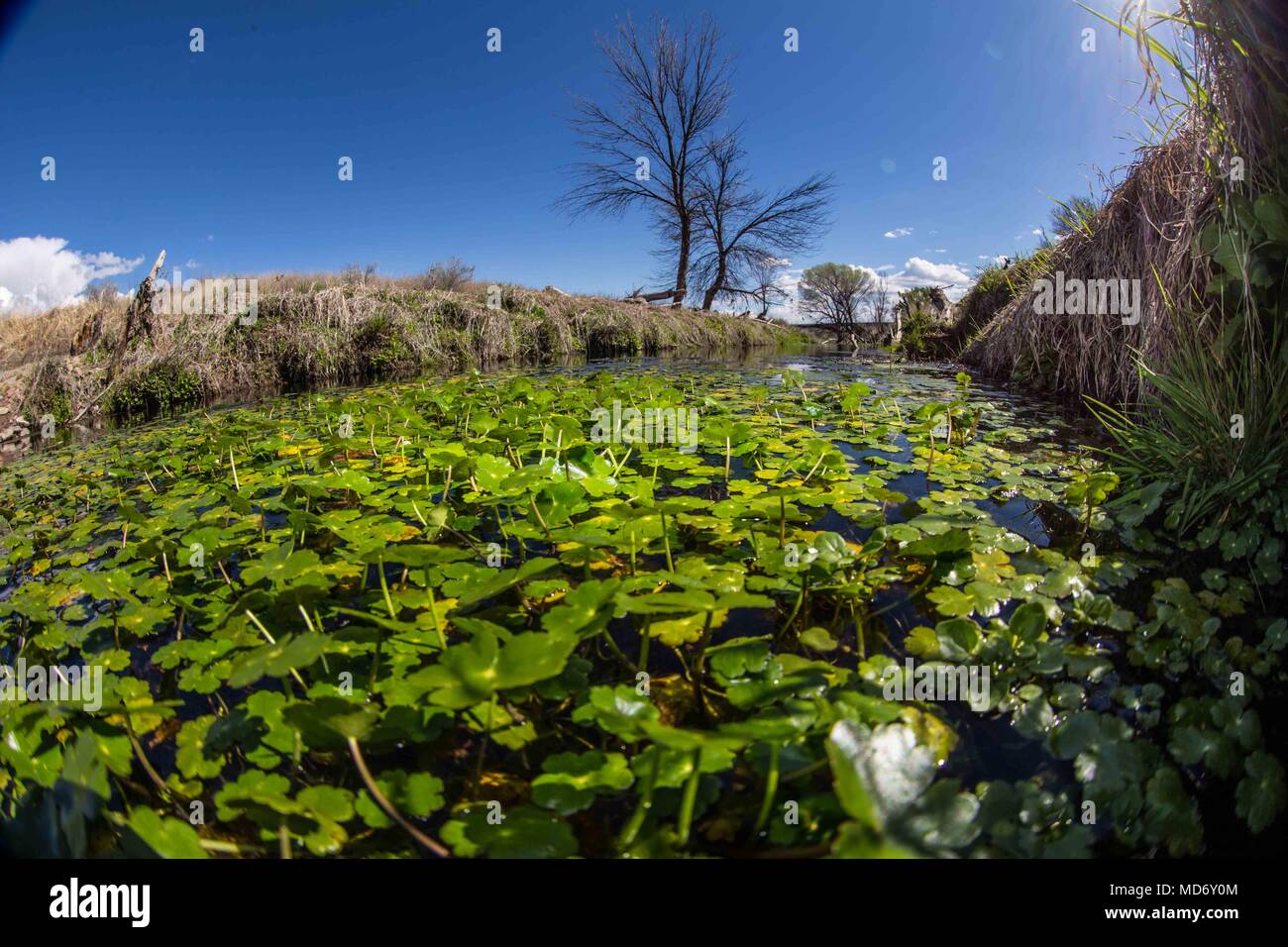 Cuenca del Rio San Pedro, Naturalia Stock Photo - Alamy