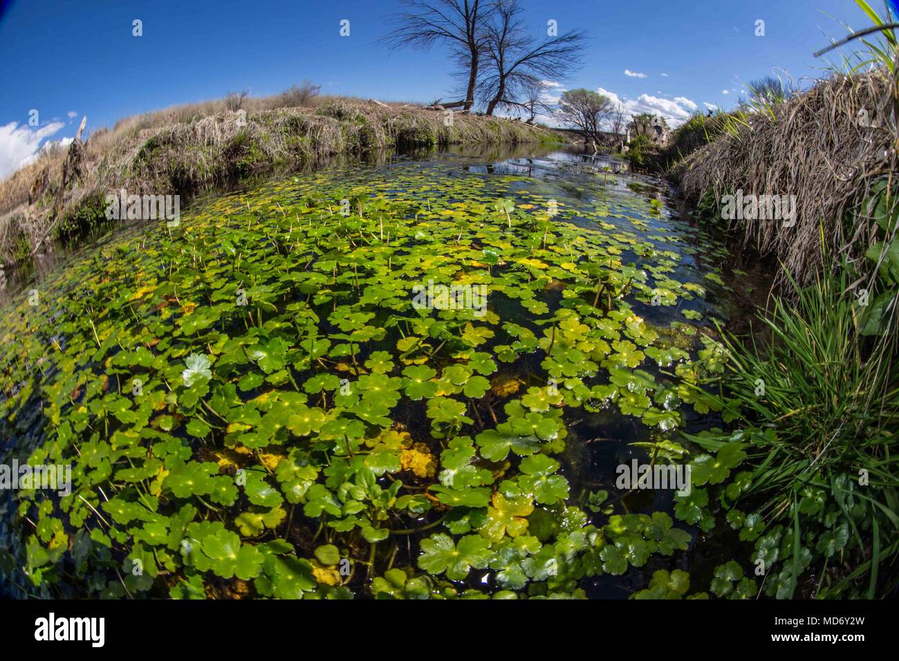 Cuenca del Rio San Pedro, Naturalia Stock Photo - Alamy