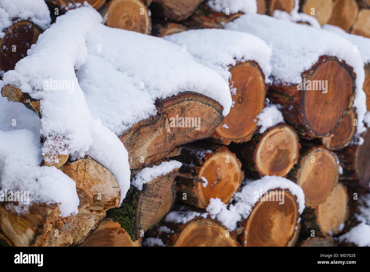 Pile of wood covered with snow Stock Photo - Alamy