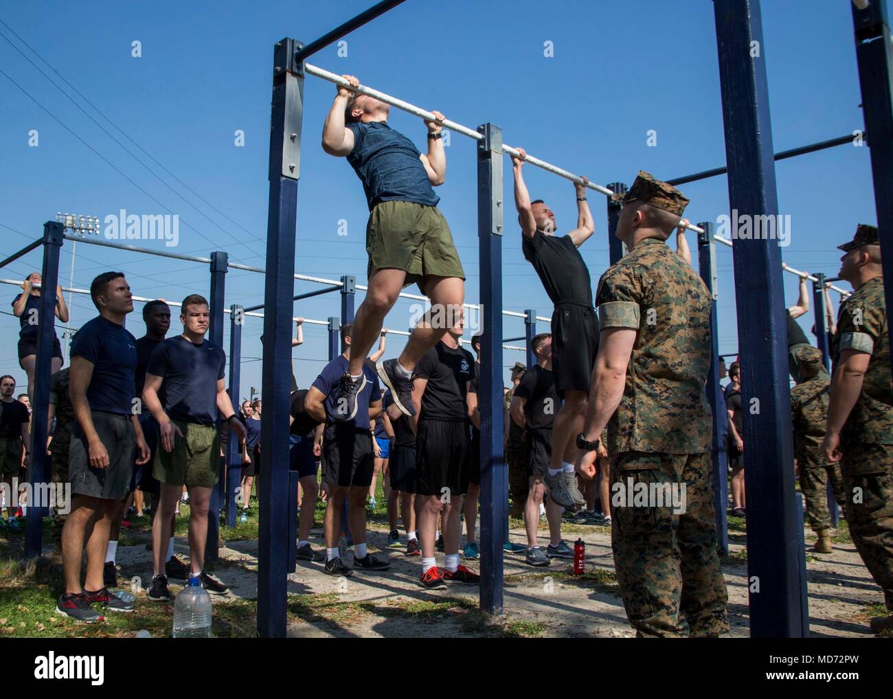 Mini ocs hi-res stock photography and images - Alamy