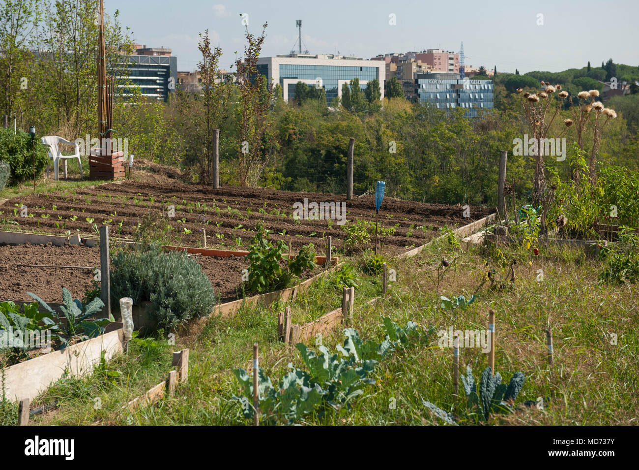 Rome. Urban garden, Nature Reserve Valle dell'Aniene. Italy Stock Photo ...