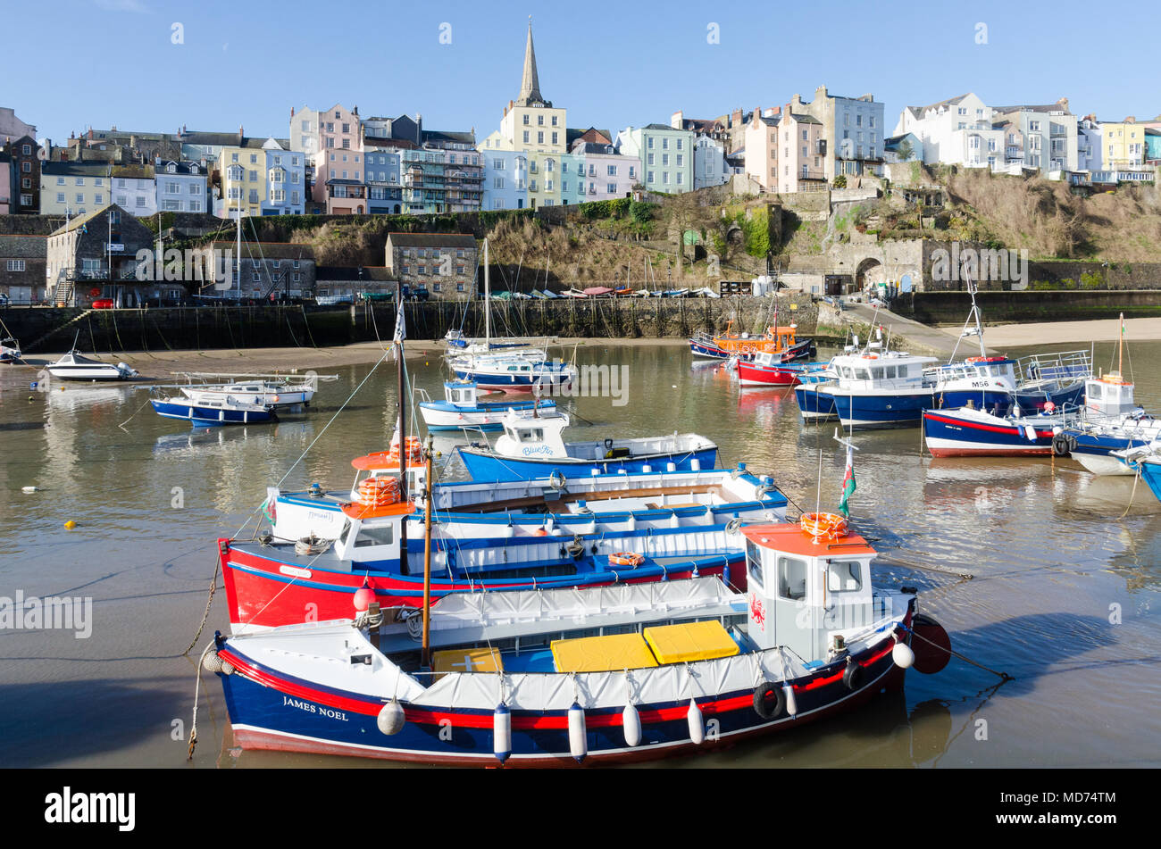 Fishing boats and leisure boats moored at low tide in Tenby Harbour in ...