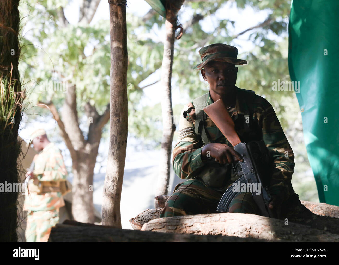 Zambat hi-res stock photography and images - Alamy