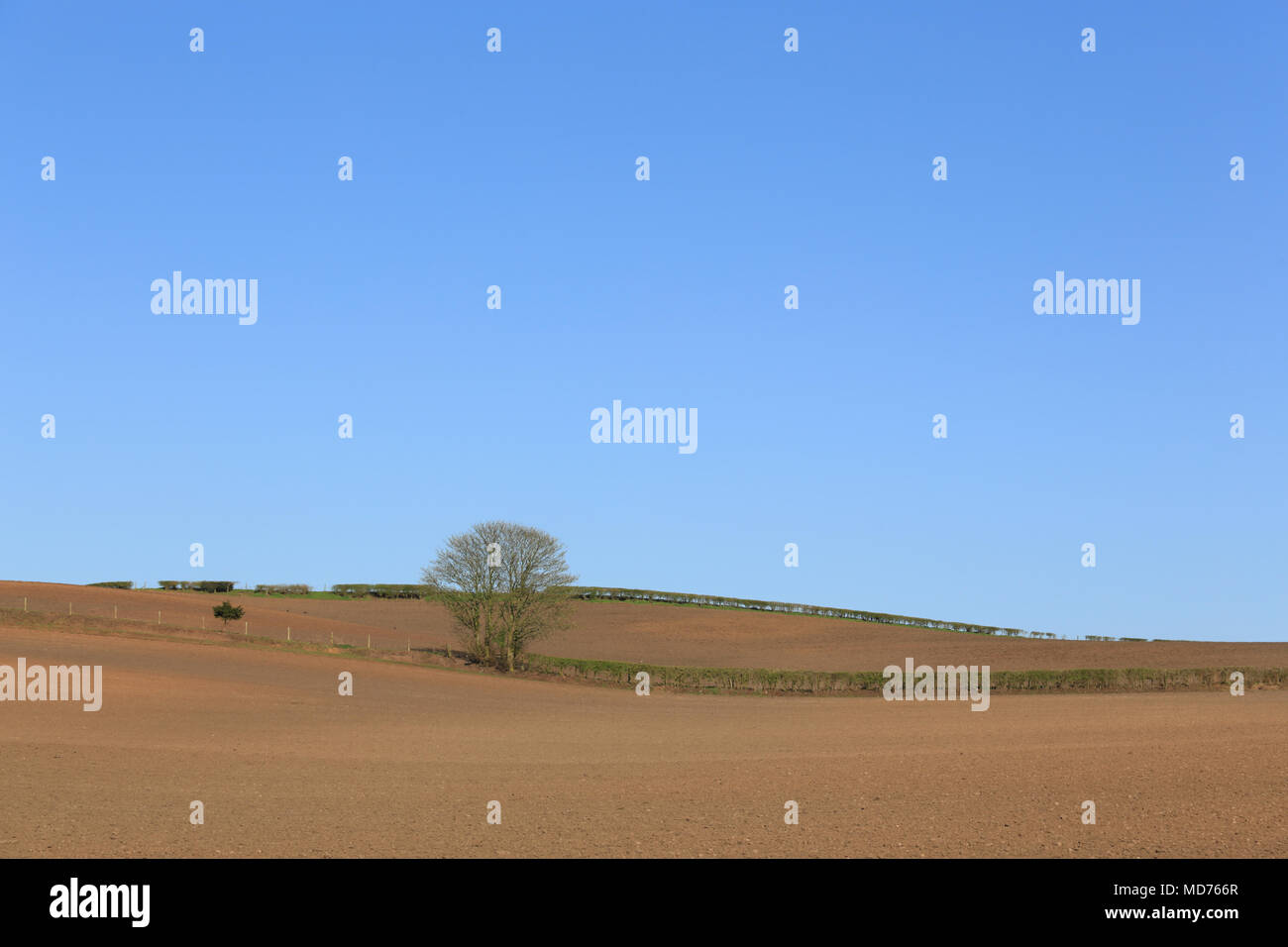 English field background with blue sky Stock Photo - Alamy