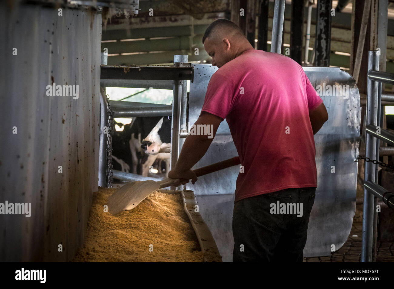 Largest milk producers hi-res stock photography and images - Alamy
