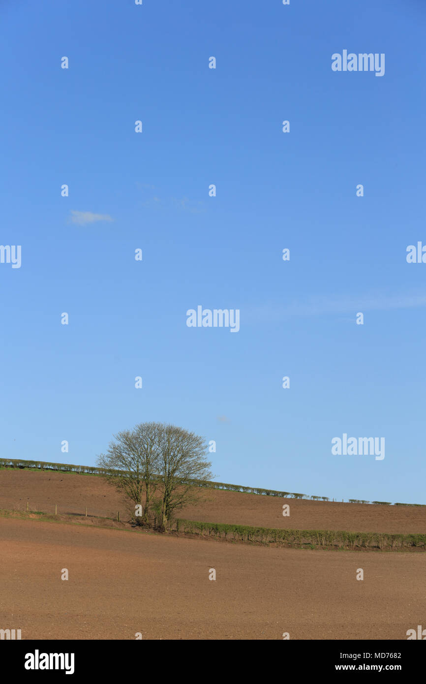 English field background with blue sky Stock Photo - Alamy