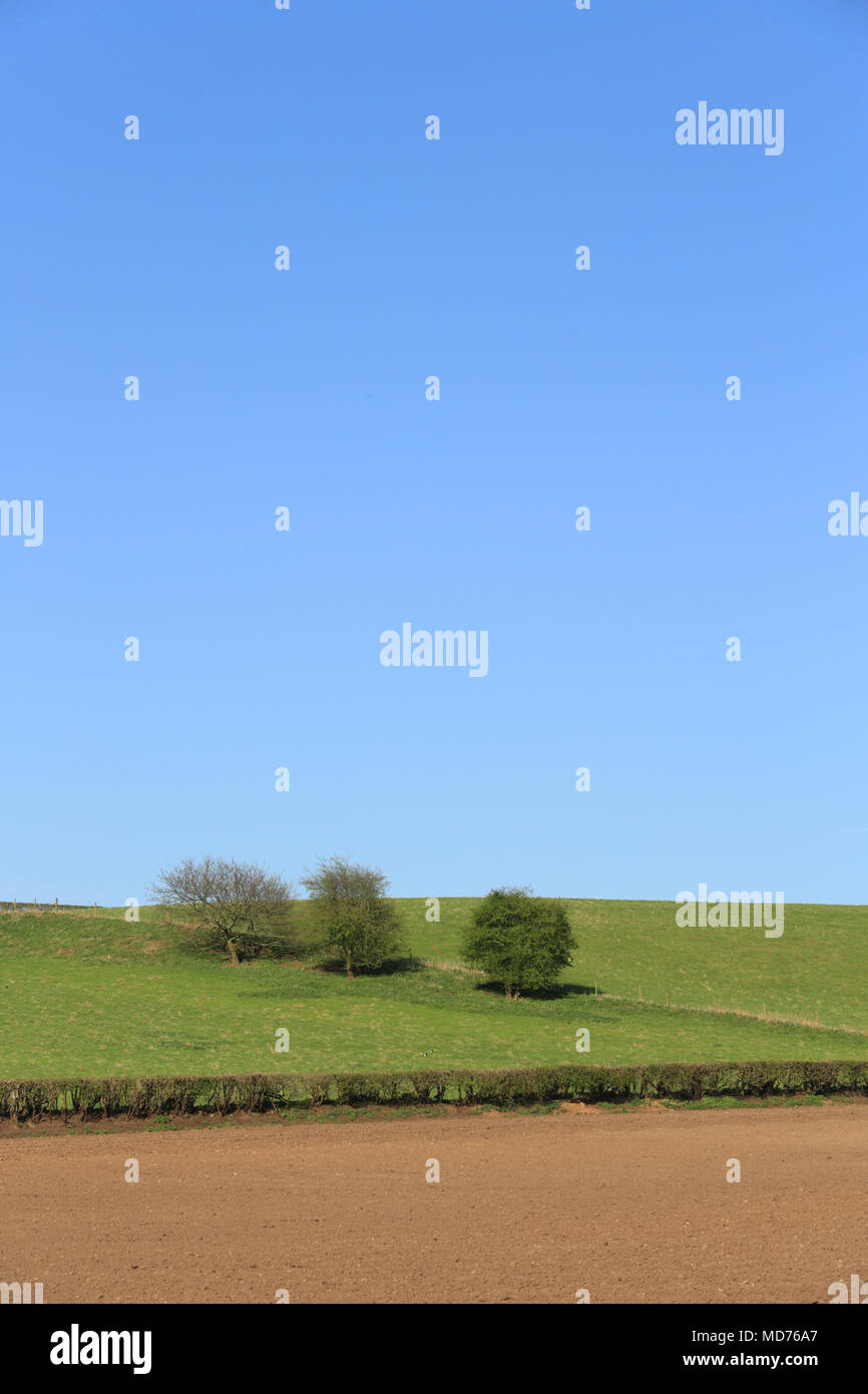 English field background with blue sky Stock Photo - Alamy