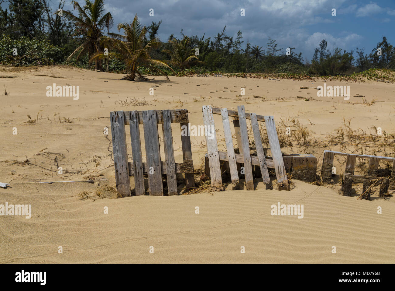 Camuy, Puerto Rico, March 15, 2018 – A sand dune along the coast of ...
