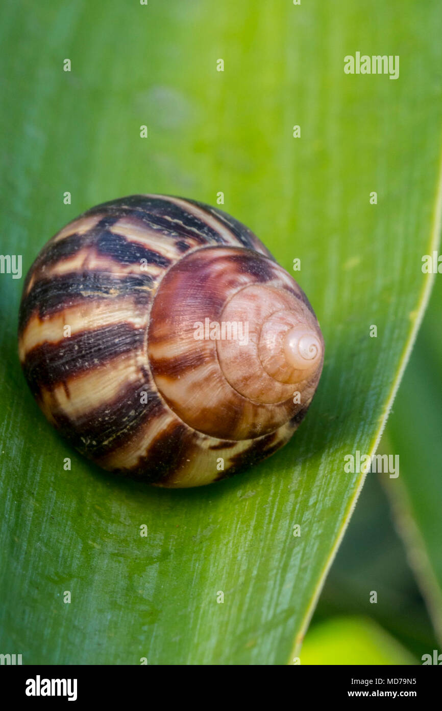 U.S. Department of Agriculture (USDA) Animal and Plant Health ...