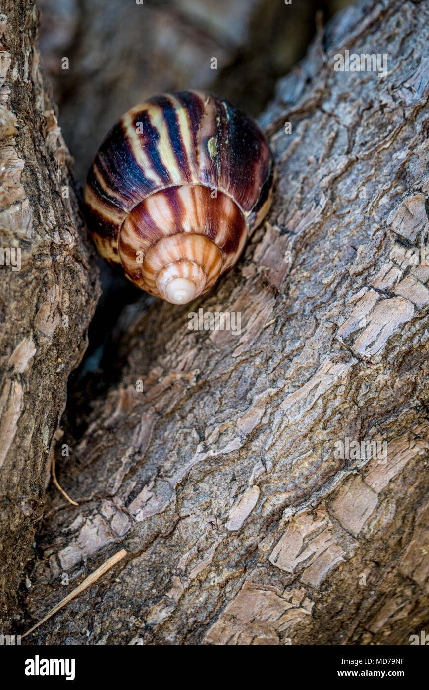Puerto rico health department hi-res stock photography and images - Alamy