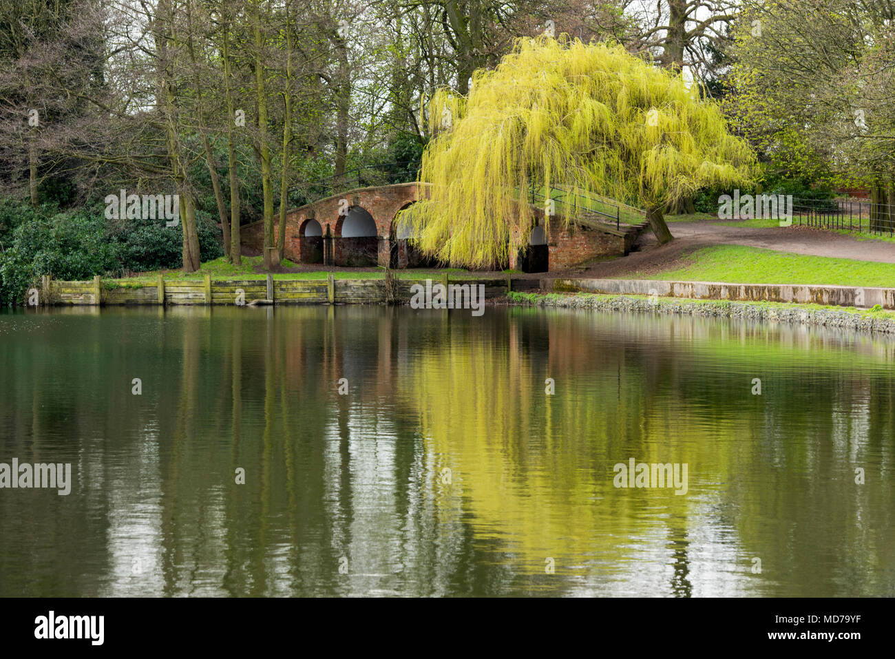 Reflections in the lake at Wollaton Hall and Deer Park, Nottingham ...