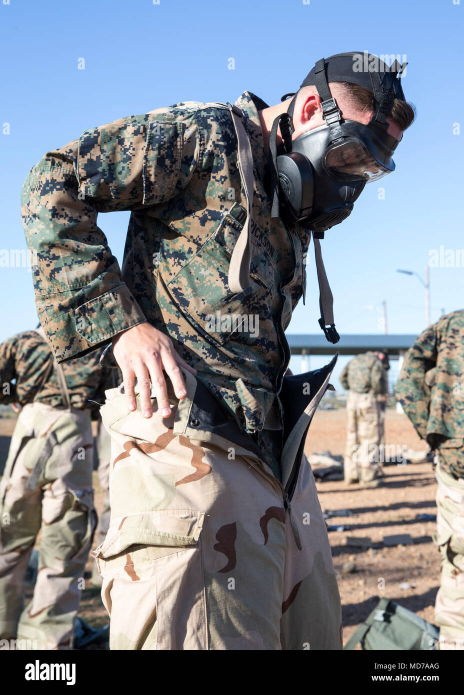 Cpl. Ashten Derickson, a cyber network operator with 3rd Marine ...