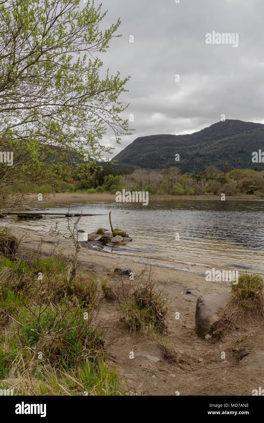 Lakefront, Shallow Water, Lake surrounded by Mountains, wet sand ...