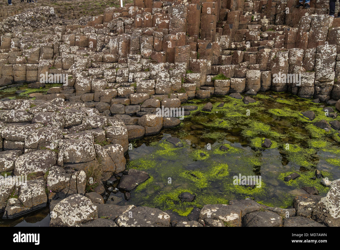 Giant's Causeway Natural Hexagonal Rocks, Atlantic Coastline, Northern ...