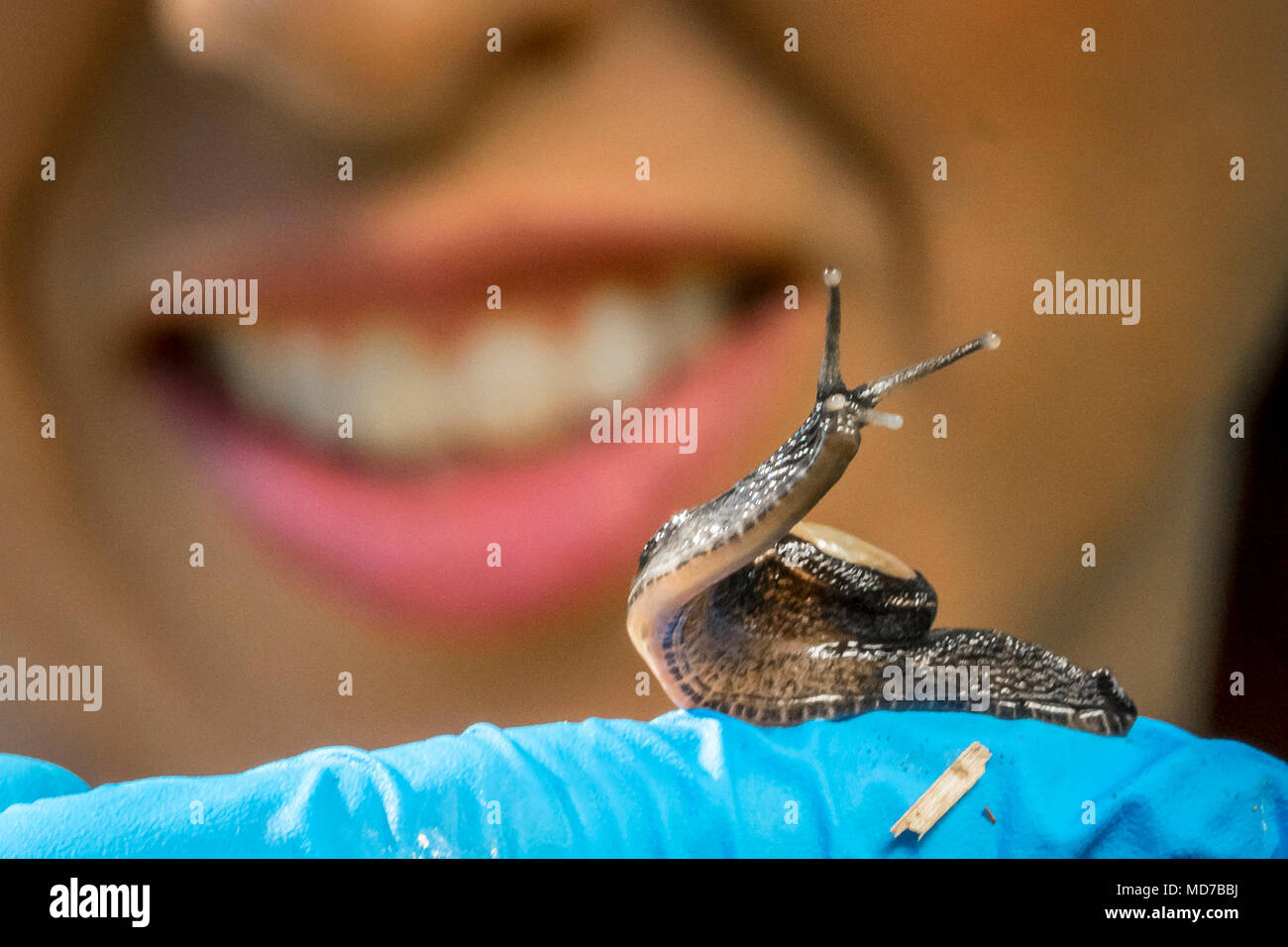 U.S. Department of Agriculture (USDA) Pest Survey Specialist Rosimar ...