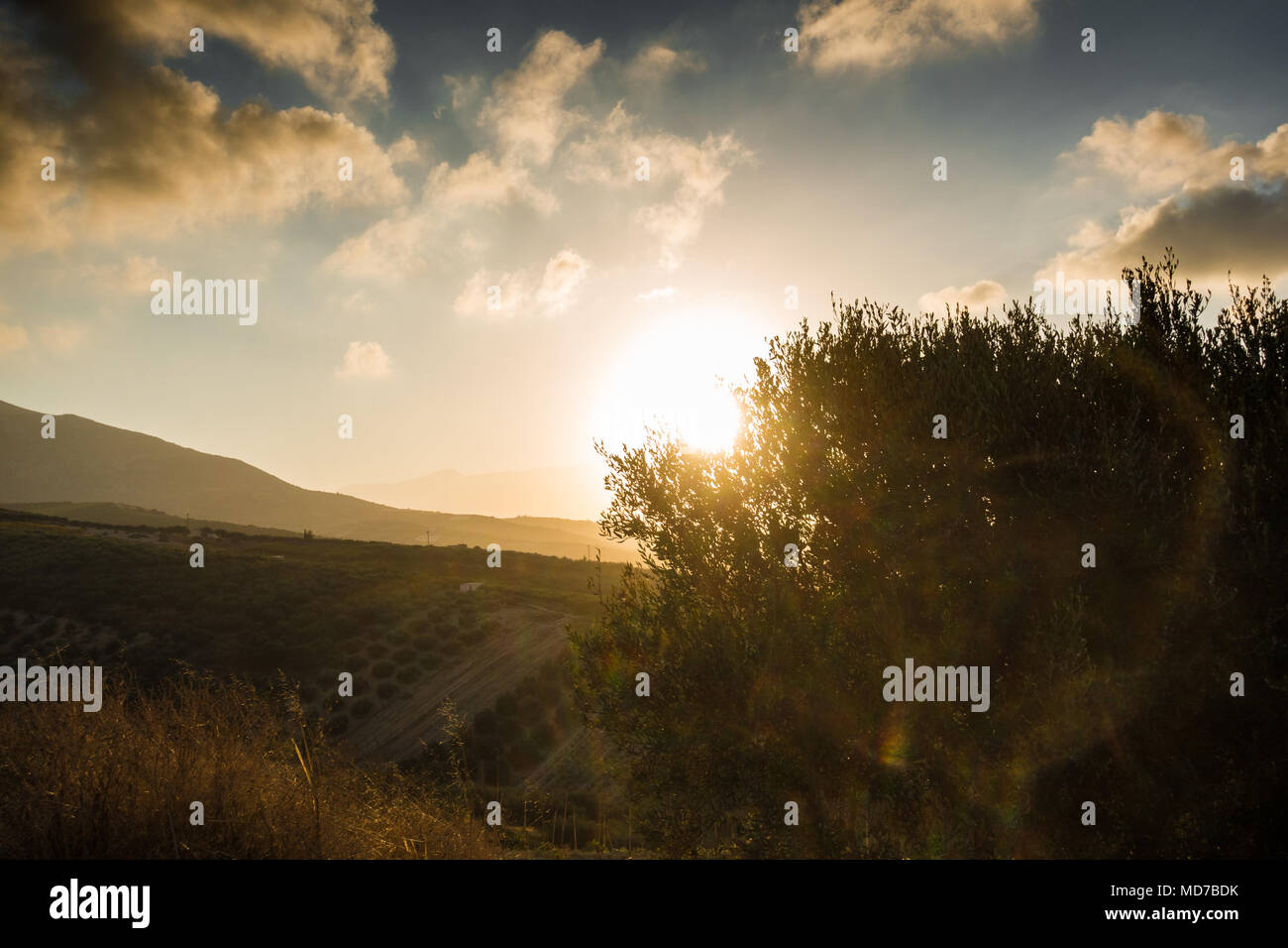 Scenic landscape during sunset, Crete, Greece Stock Photo - Alamy
