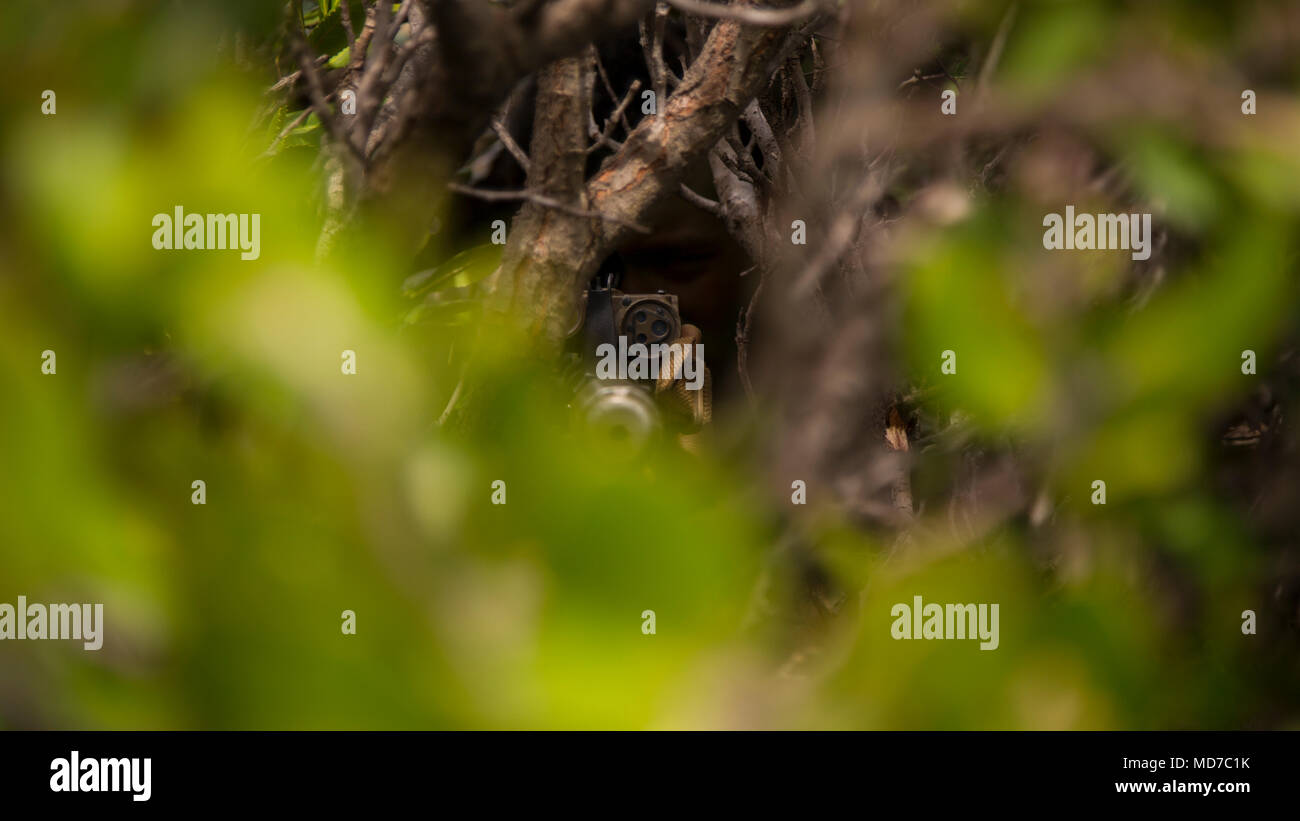 Lance Cpl. Riley Morris, a sniper attachment with Battalion Landing ...
