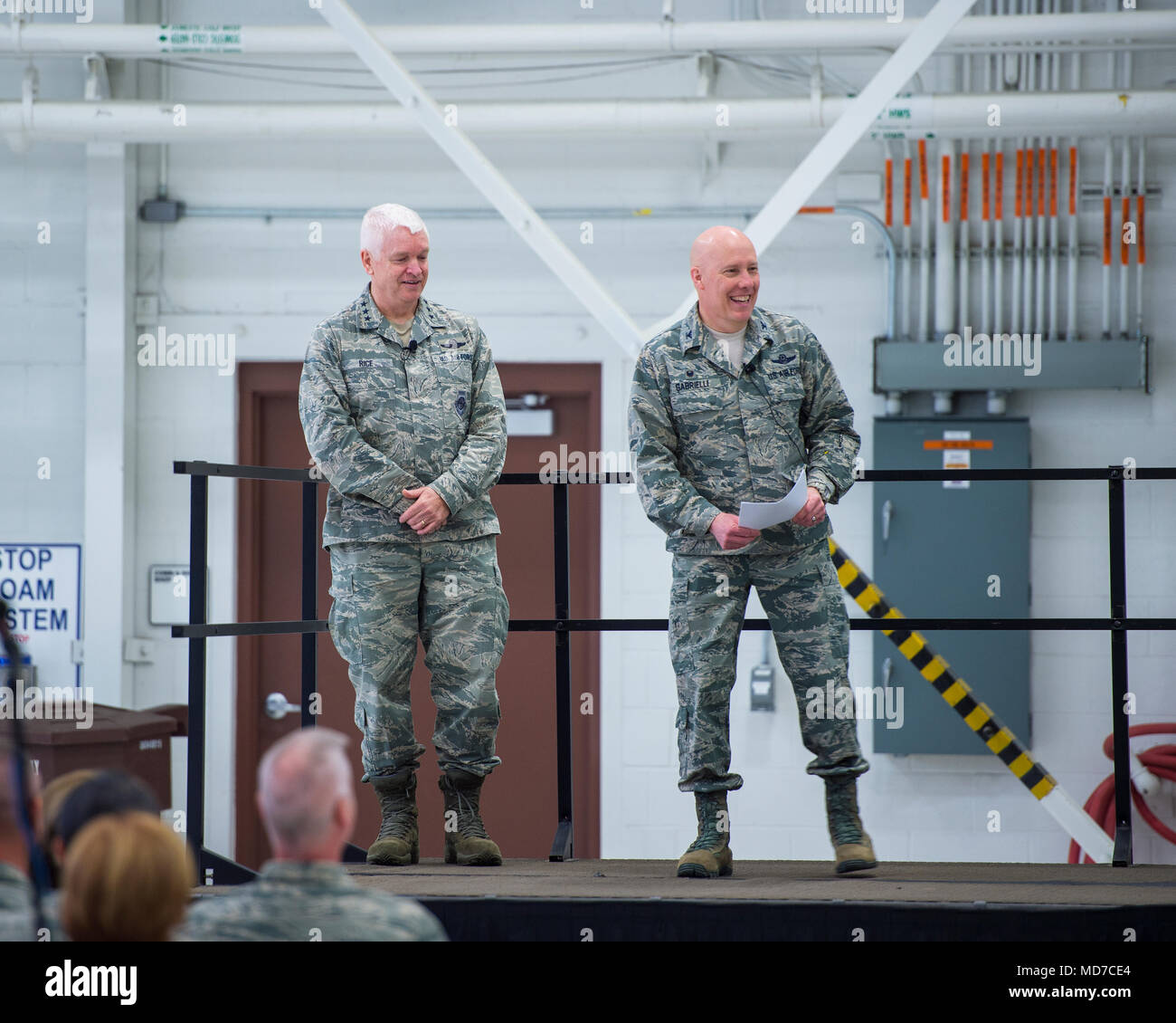 U.S. Air Force Col. Daniel Gabrielli, commander of the 133rd Airlift ...