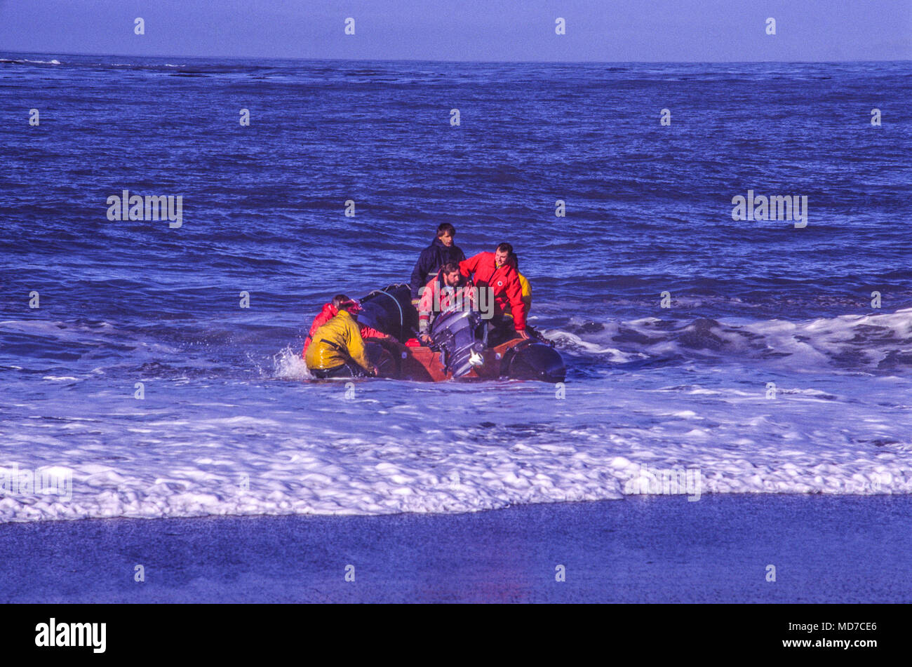 Zodiac landing, S. Georgia Island Stock Photo - Alamy