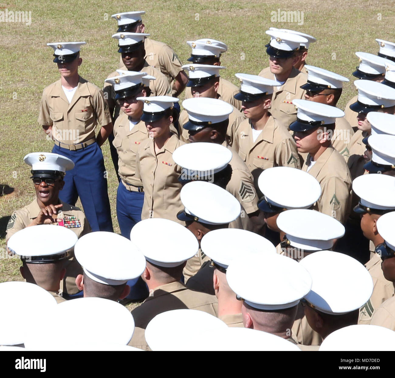 Sgt. Maj. Stephanie K. Murphy, former sergeant major, Marine Corps ...