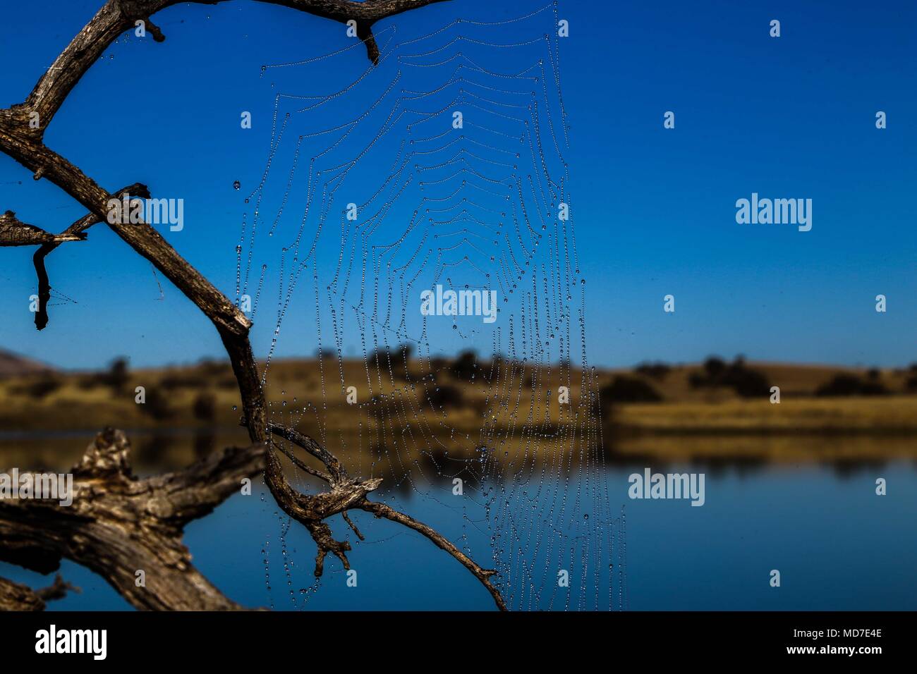Cuenca del Rio San Pedro, Naturalia Stock Photo - Alamy