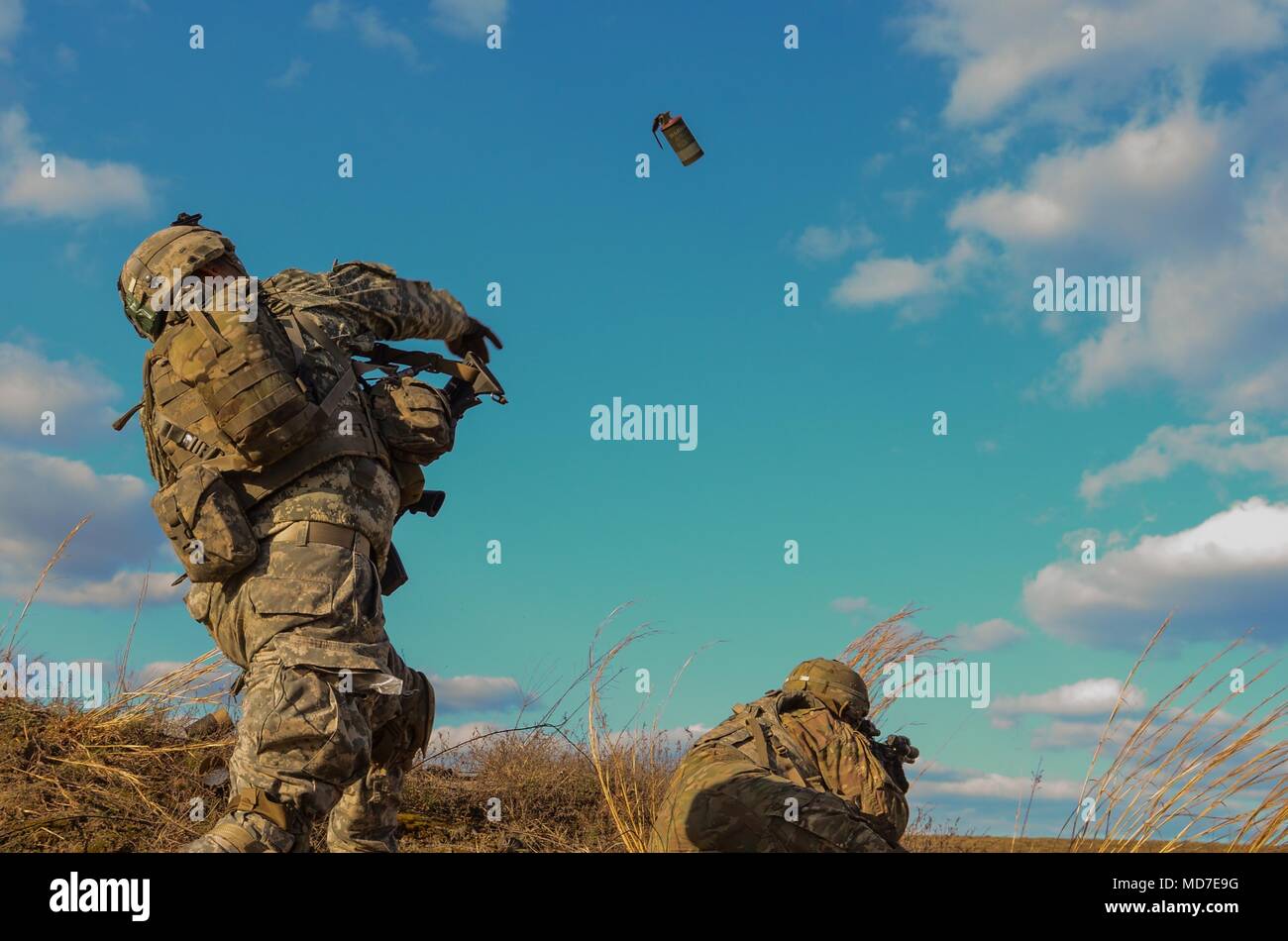 A Paratrooper assigned to Alpha Company, 1st Battalion, 508th Parachute ...