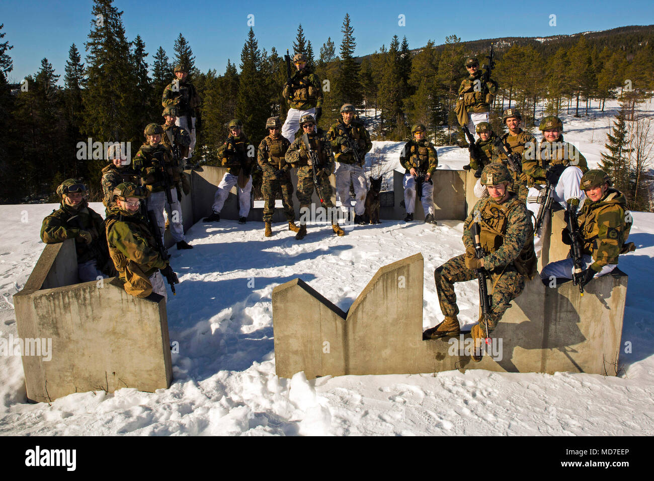 Norwegian home guard 12 hi-res stock photography and images - Alamy
