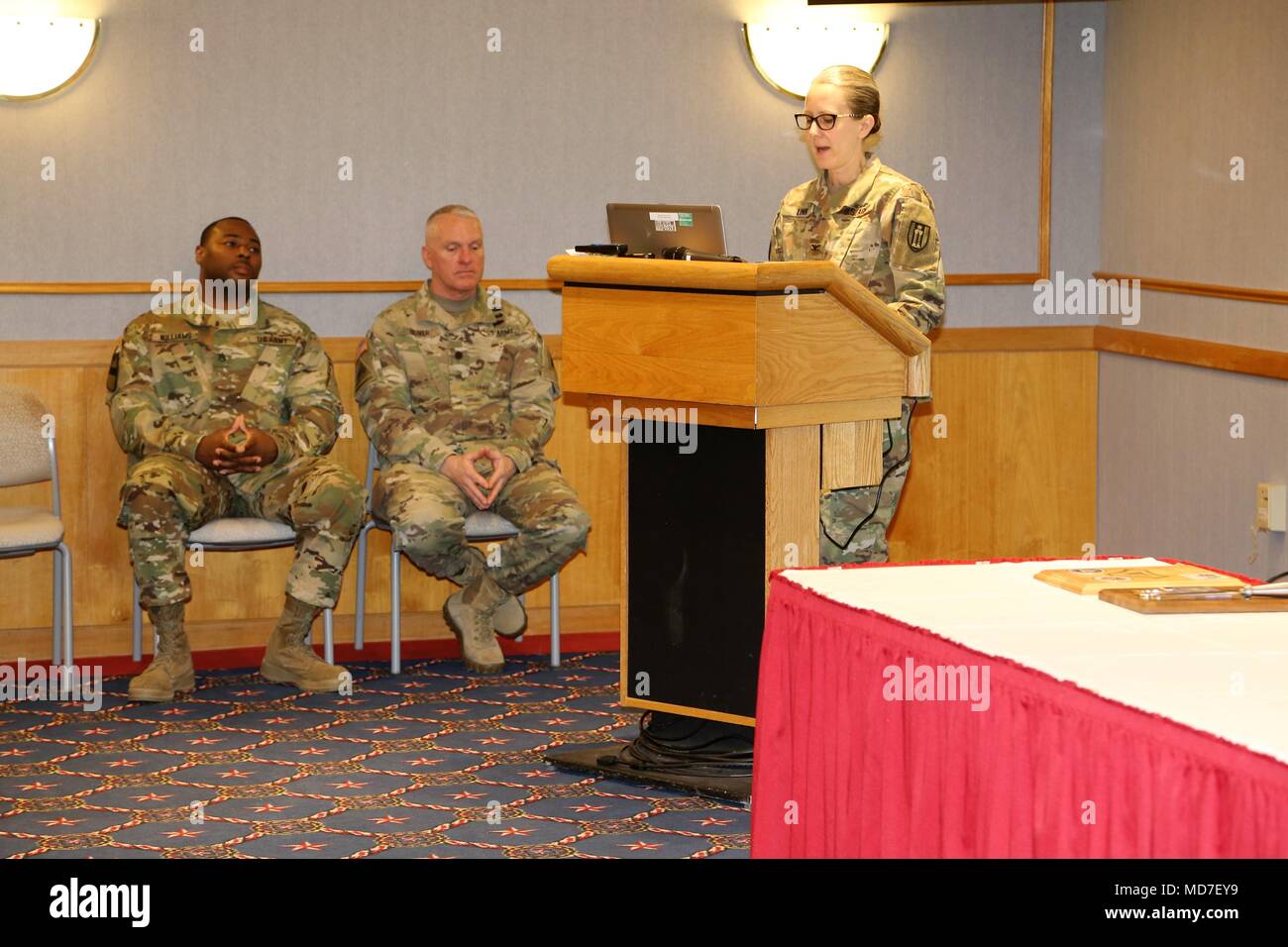 Col. Michelle Link, commander of the 372nd Engineer Brigade, gives her ...