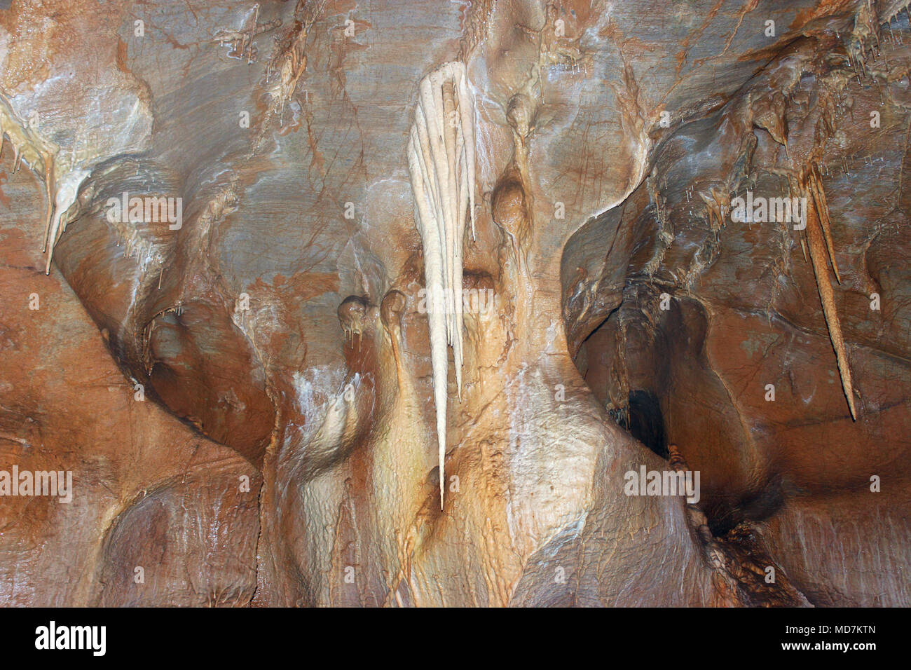 Beutiful cave of stalactites and stalagmites. Nature creates ...