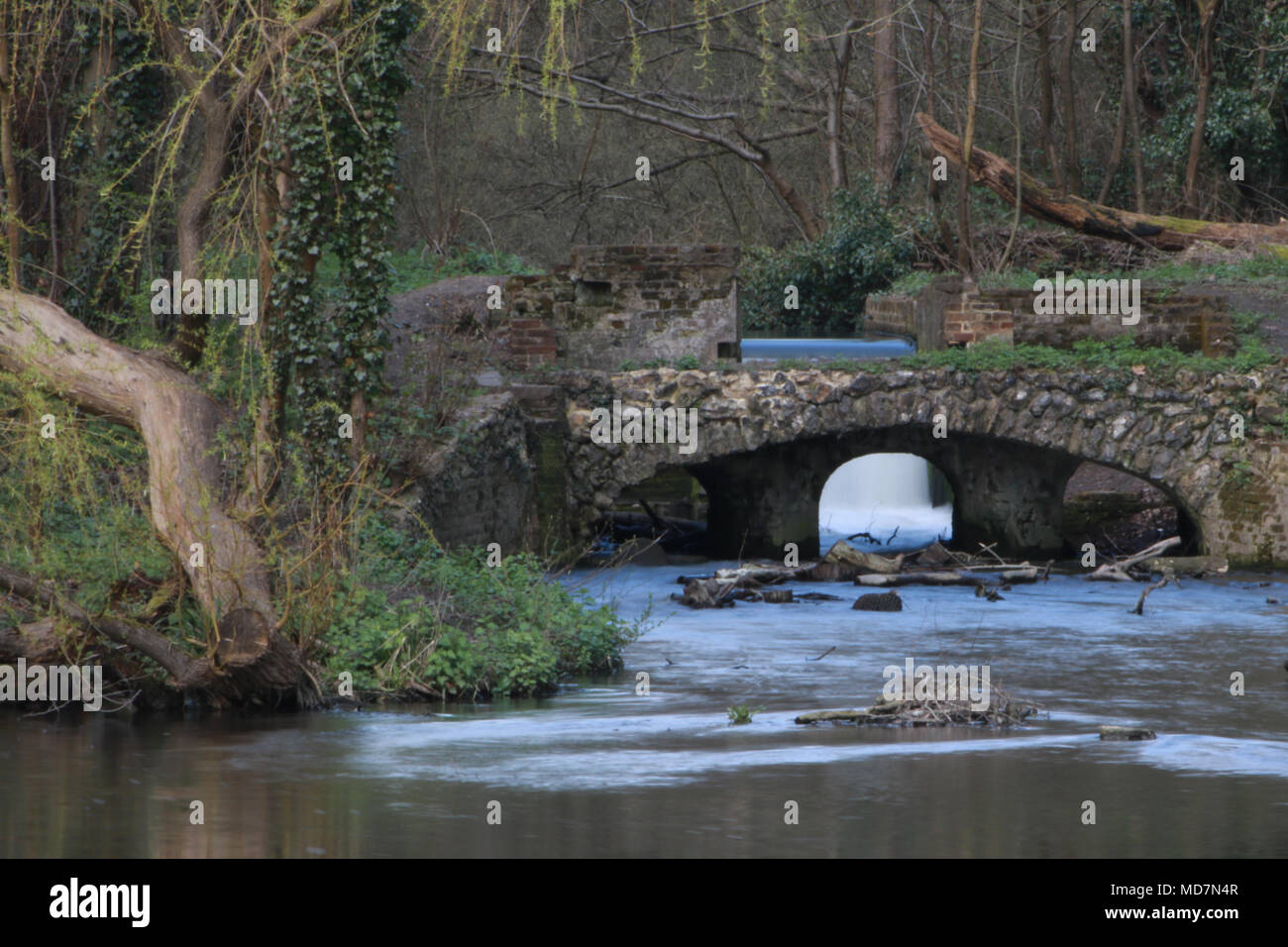 Cassiobury park bridge hi-res stock photography and images - Alamy